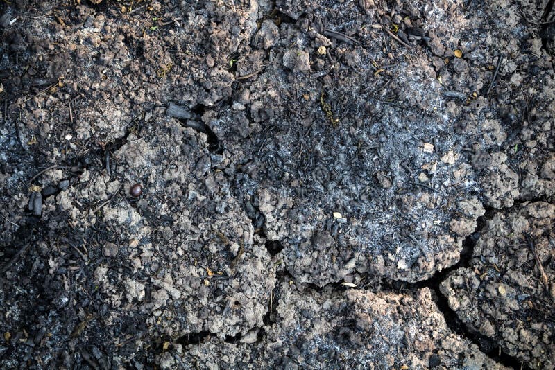 Burned Cracked Scorched Ground Texture Background No. 61 Stock Photo ...