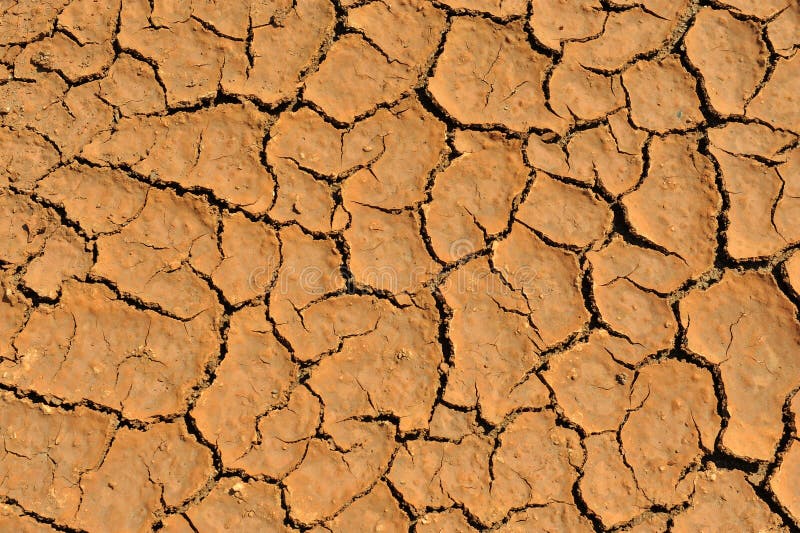 Cracked clay ground stock photo. Image of damage, crack - 19524946