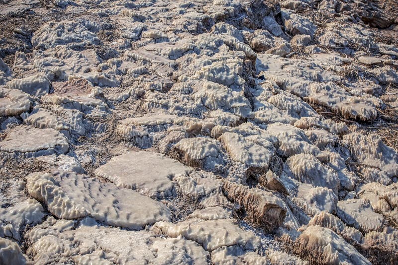 Cracked Clay with Salt on the Seafront of the Dead Sea Stock Photo ...