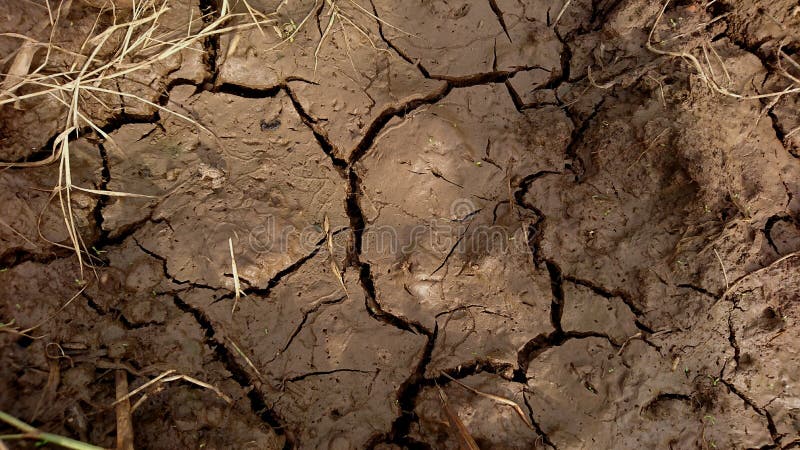 Cracked Clay Texture, Seen from Above Stock Photo - Image of distance ...