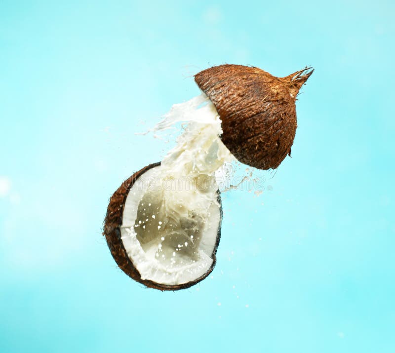 224 Flying Coconut Air Stock Photos - Free & Royalty-Free Stock Photos ...