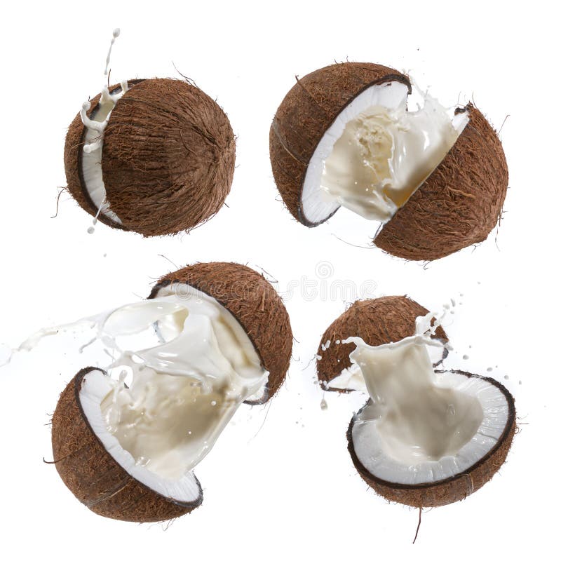 157 Flying Coconut Air Stock Photos - Free & Royalty-Free Stock Photos ...