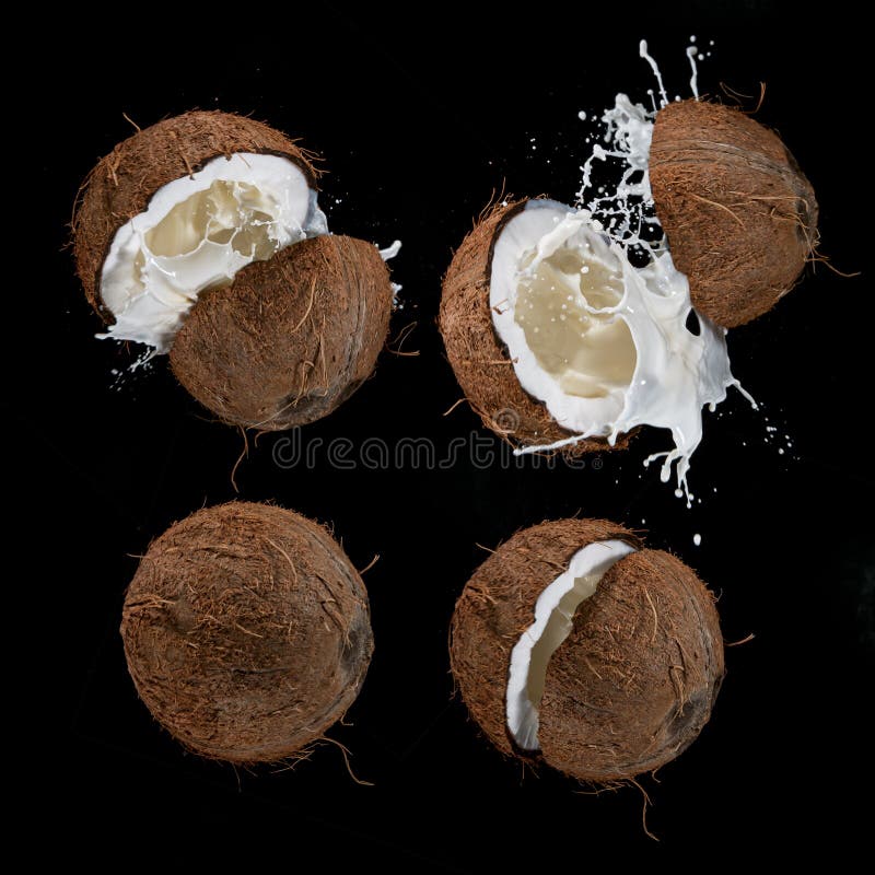 Cracked Coconuts Milk Water Splash Flying in the Air. Stock Image ...