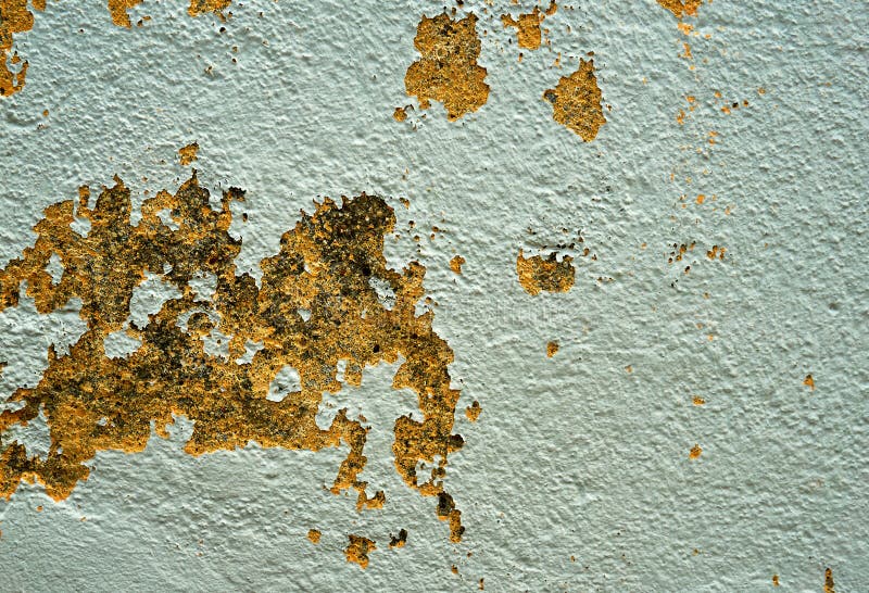 Cracked color on a wall stock photo. Image of moistness - 142886118