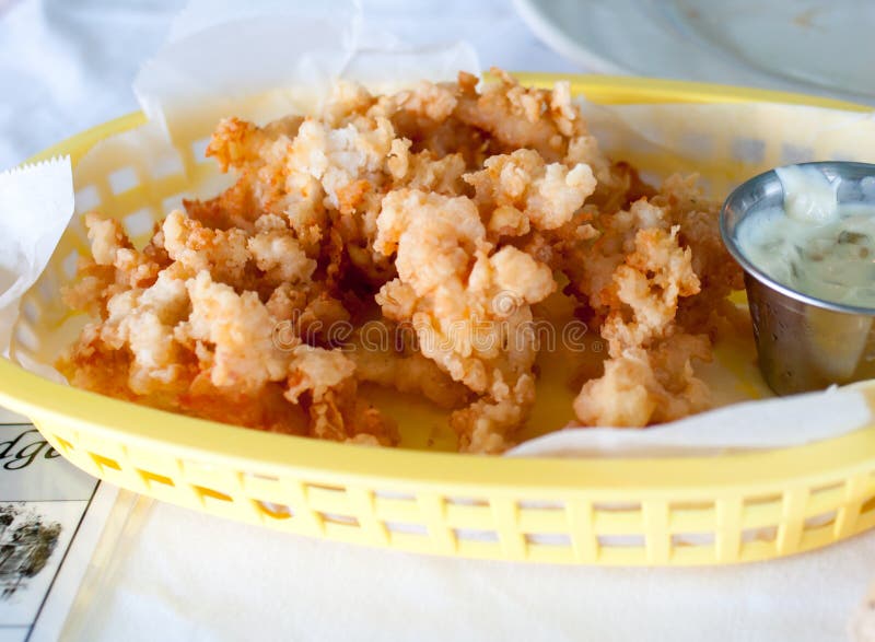 42,444 Conch Stock Photos - Free & Royalty-Free Stock Photos from ...