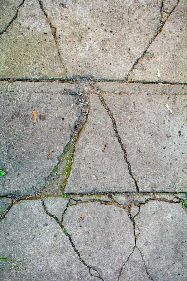 Cracked Concrete Brick Pathway Texture. Broken Sidewalk Tiles Stock ...