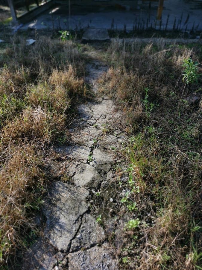 812 Crack Pathway Stock Photos - Free & Royalty-Free Stock Photos from ...