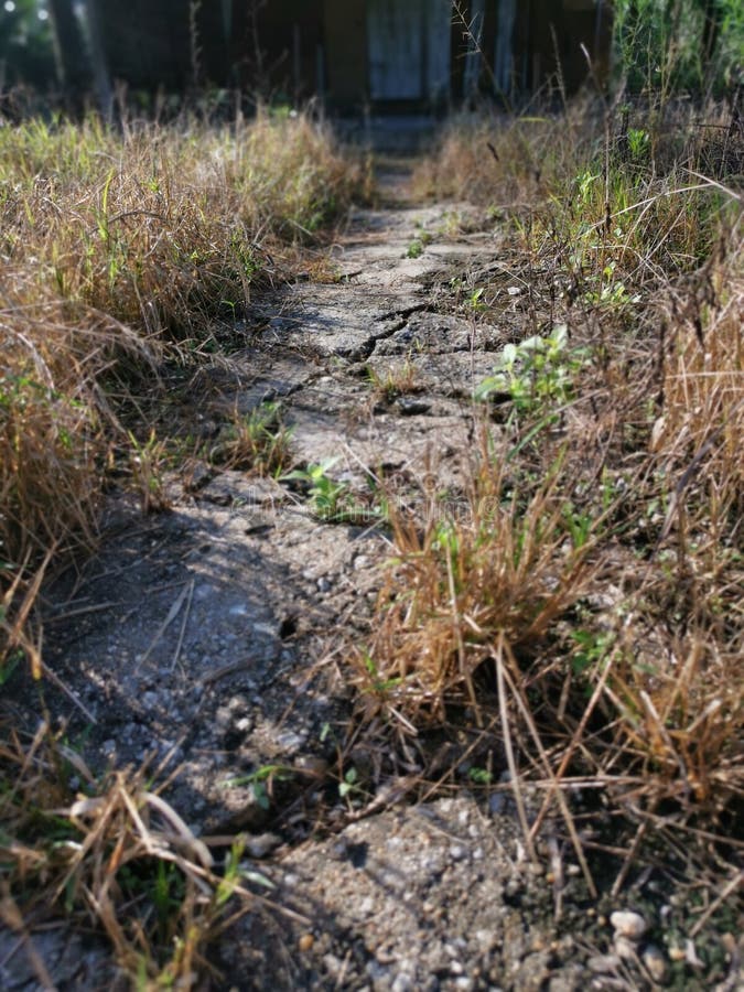 Cracked Concrete Pathway To the Rural Farm. Stock Image - Image of ...