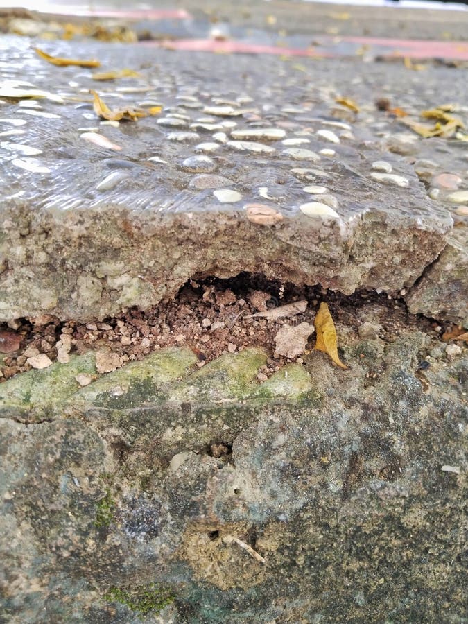 Cracked Concrete Surface Showing a Visible Split with Exposed Soil ...