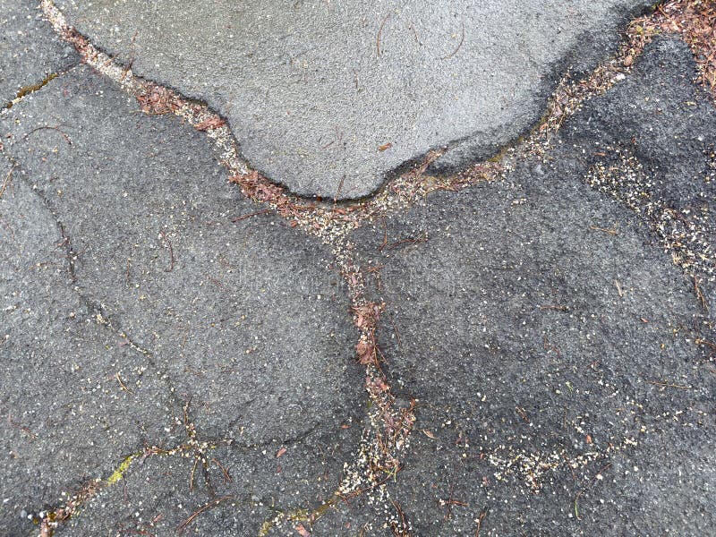 Cracked Concrete with Visible Textures and Natural Patterns in the Old ...