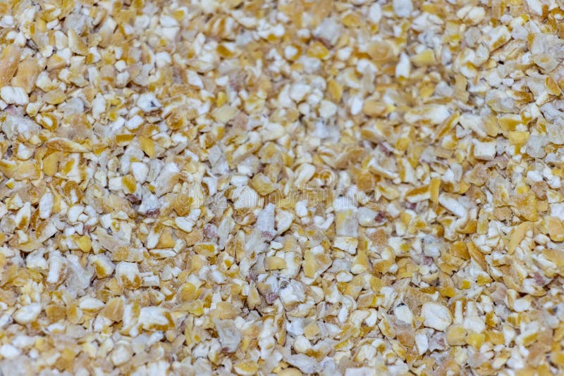 Cracked corn close up stock image. Image of yellow, maize - 220880273