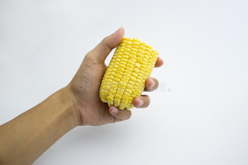 Cracked Corn in Human Hand. on White Background Stock Image - Image of ...