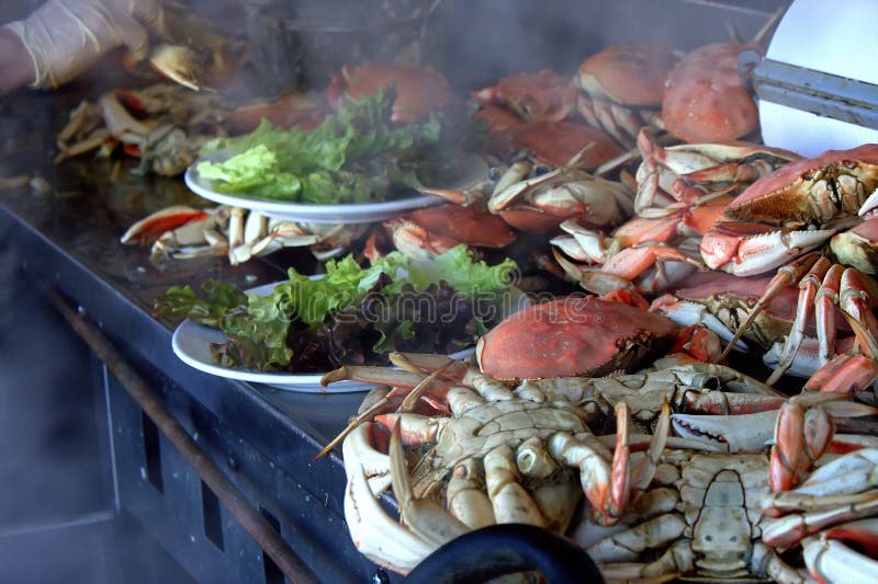 Cracked crab stock photo. Image of meat, ocean, fish, food - 9193576