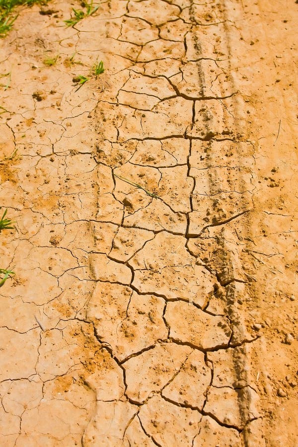 Cracked Desert Soil with Grass Sprouts Stock Photo - Image of summer ...