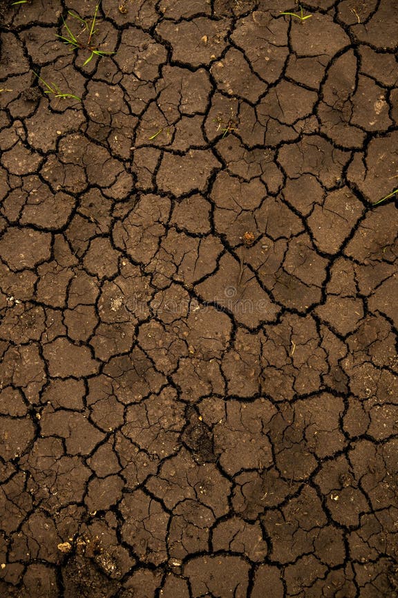 Cracked Dirt Texture with Grass Growing on the Edge Stock Photo - Image ...