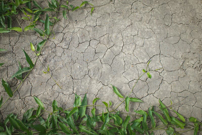 Cracked Dirty Ground Texture Stock Photo - Image of earth, split: 57229424