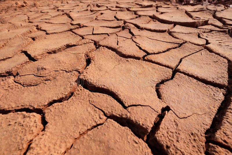 Dried mud texture stock image. Image of dirt, dried - 106130599