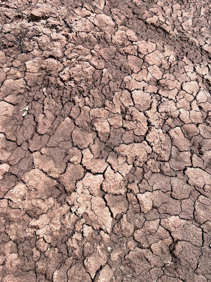 Cracked Dried Up Earth during Drought Stock Image - Image of nature ...