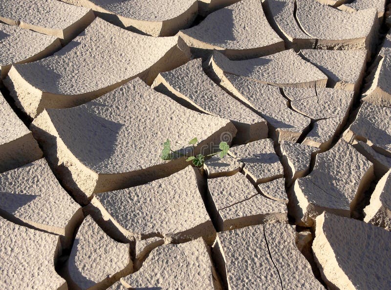 Cracked and dry earth stock image. Image of soil, drought - 3092783