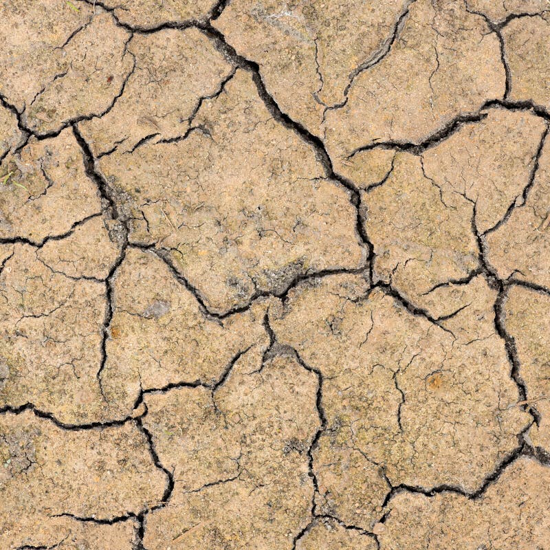 Cracked dry earth stock photo. Image of earth, muddy - 43918994