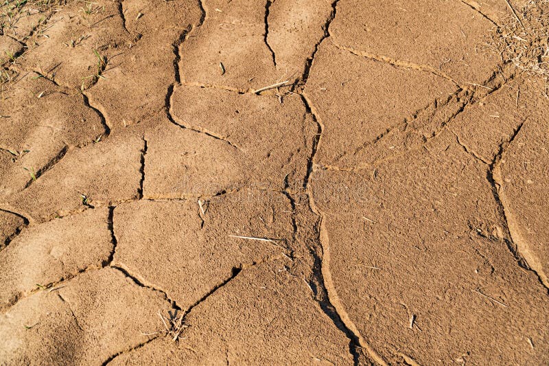 Cracked Dry Earth. Dry Field and Cracked Earth Stock Image - Image of ...