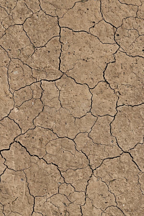 Dry Mud texture stock photo. Image of dried, land, cracks - 77917986