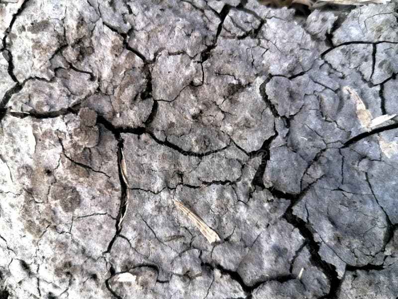Cracked Dry Field Ground in the Dry Season Stock Image - Image of ...