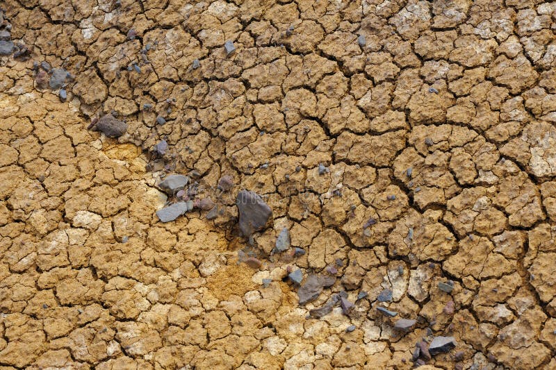Cracked dry ground texture stock photo. Image of ecosystem - 15076272