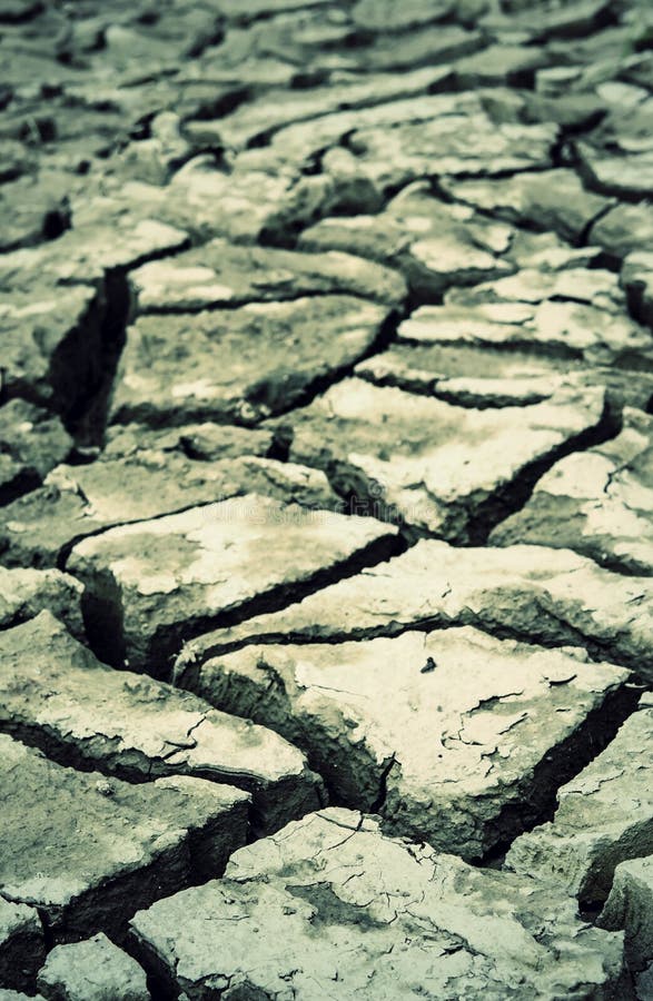 Cracked dry land soil stock photo. Image of agriculture - 55768062