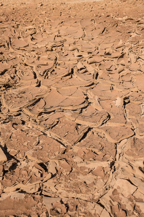 Cracked dry land stock photo. Image of crack, clay, cracked - 56143462