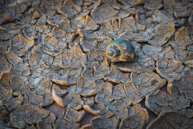 Cracked Dry Land without Water Stock Image - Image of dead, natural ...