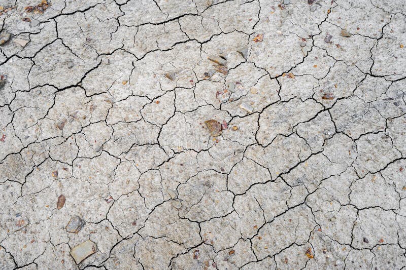 Cracked Dry Soil in a Field during the Day Stock Image - Image of ...