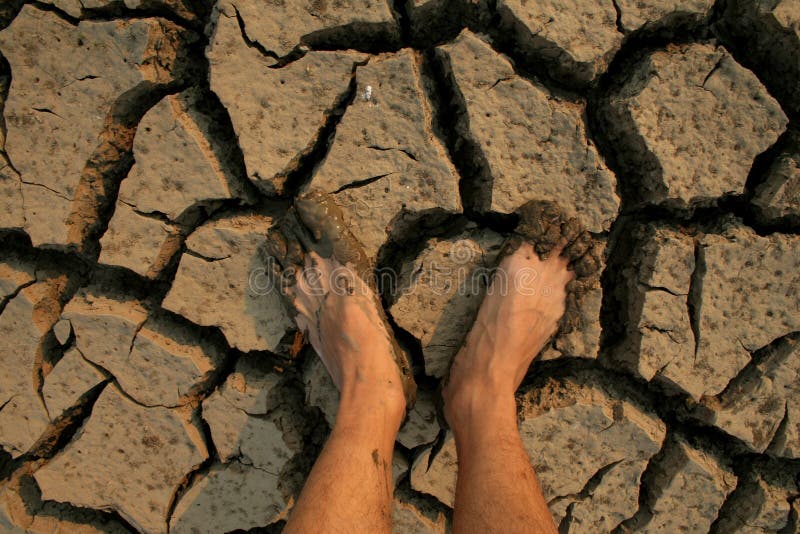 Cracked earth stock photo. Image of grainy, evaporated - 2268758