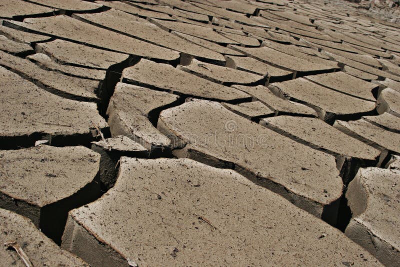 Cracked Earth Picture. Image: 1357225