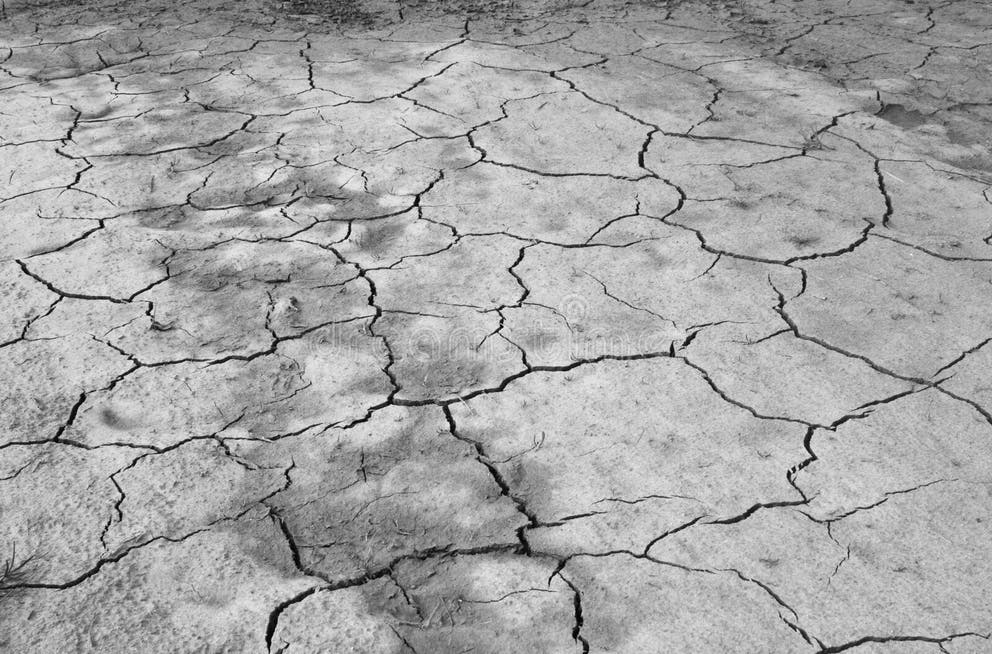 Cracked earth stock image. Image of brown, brake, dust - 19367773