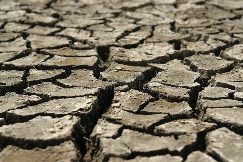 Cracked earth stock photo. Image of grainy, evaporated - 2268758