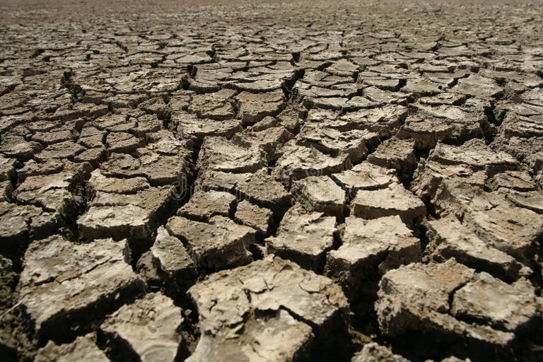 Cracked earth stock photo. Image of grainy, evaporated - 2268758