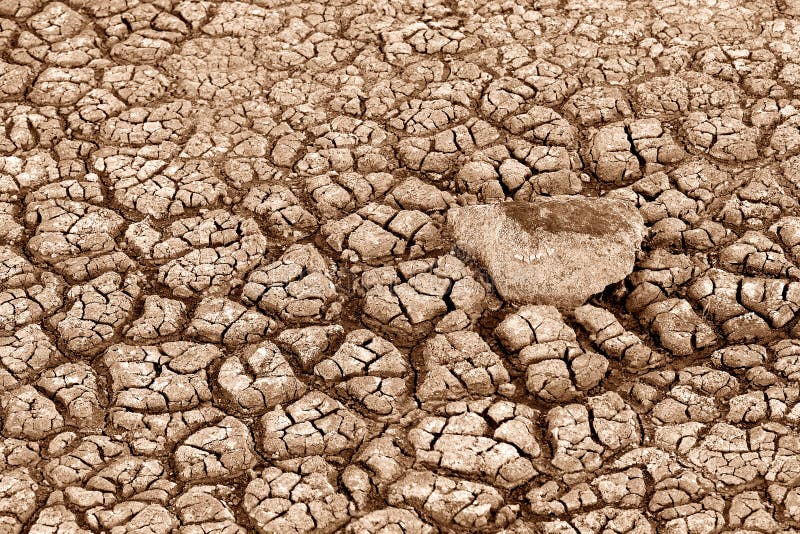 Cracked Earth stock image. Image of oregon, summer, arid - 254517