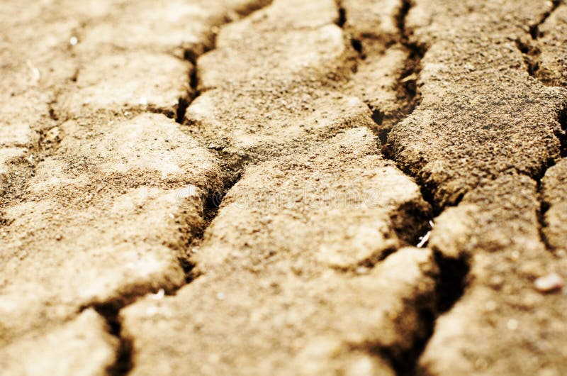 Cracked earth stock photo. Image of area, disaster, geological - 29696388