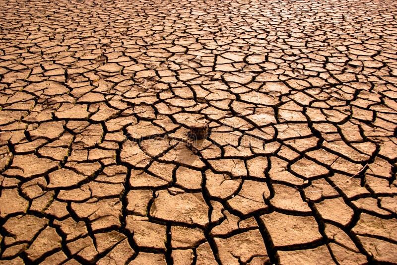 Cracked Earth stock photo. Image of crack, global, geology - 3534884