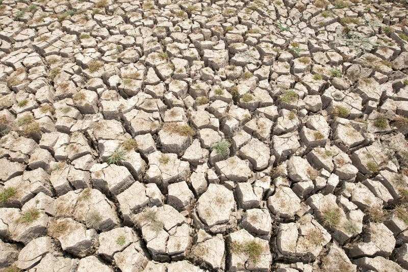 Cracked earth and barren stock photo. Image of arid, desert - 71426402