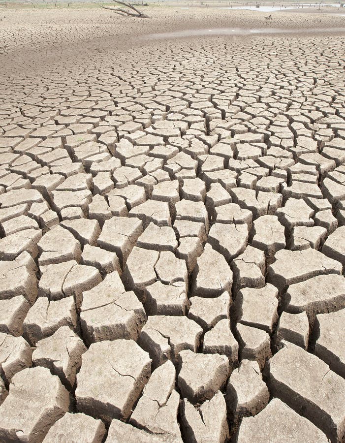 Barren Earth. Dry Cracked Earth Background. Cracked Mud Pattern. Soil ...