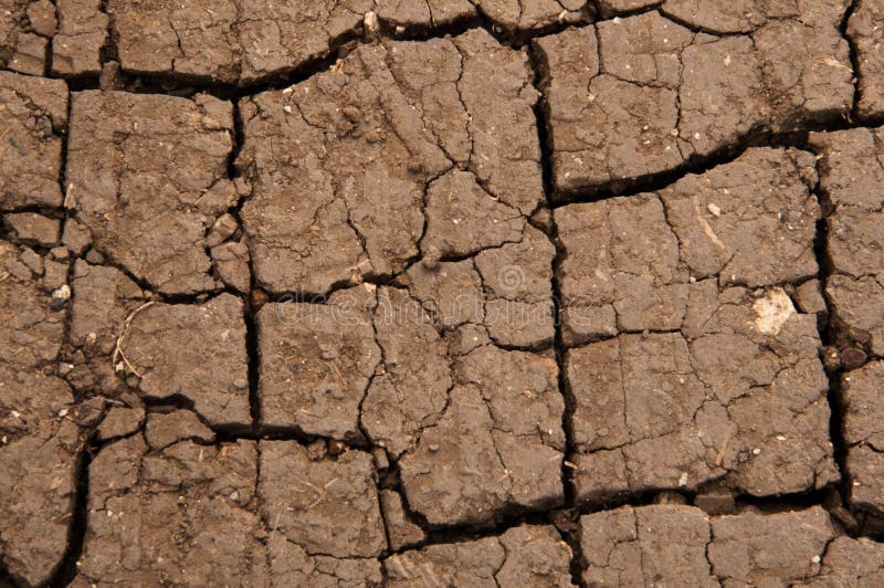 Earth Day with Brown Carved Stones Over Beach Sand Stock Image - Image ...