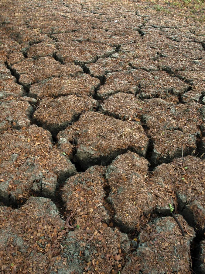 Cracked earth stock photo. Image of environmental, environment - 82517118