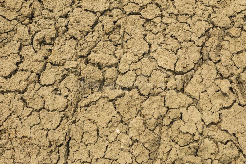 Cracked Earth in the Desert Stock Photo - Image of broken, drought ...