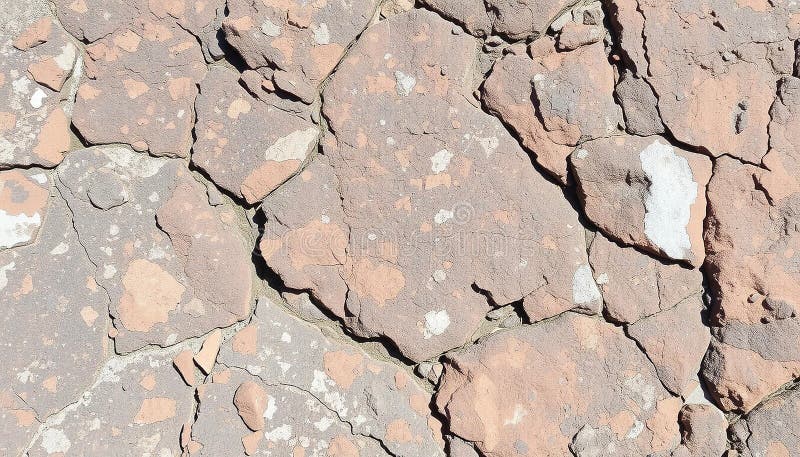 Cracked Earth Displays a Rough, Uneven Surface Composed of Irregular ...