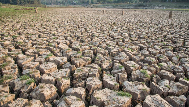 Cracked Earth,Drought,Dry Land,Dry Tree,Dry Dam. Stock Image - Image of ...