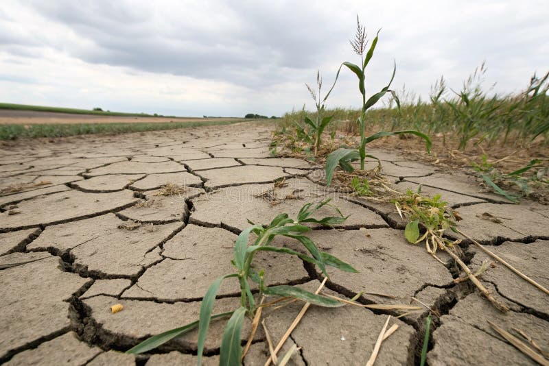 Cracked Earth and Drought - Environmental Impact Photography Stock ...