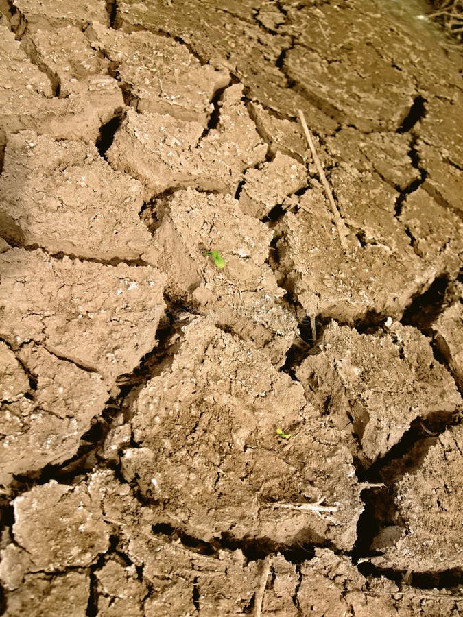 Cracked earth stock image. Image of desert, heat, earth - 38890383