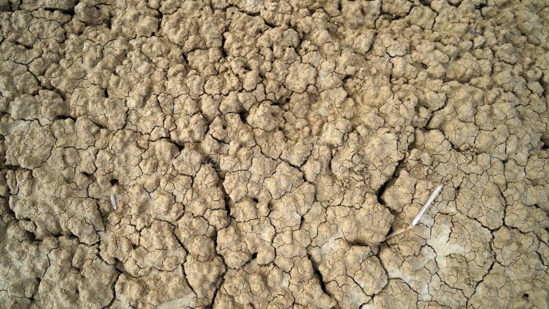 Soil with fissures stock image. Image of environment, background - 7124349